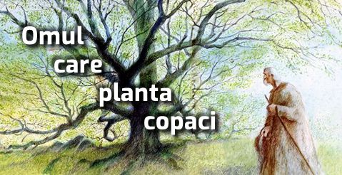 Omul care planta copaci - FilmeDocumentare.com