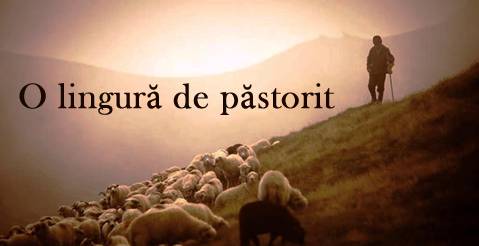 O lingură de păstorit - FilmeDocumentare.com